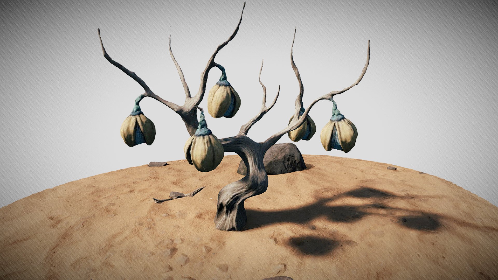 Beryl Nut Bush - Download Free 3D model by PatrikRoy [21aa861] - Sketchfab
