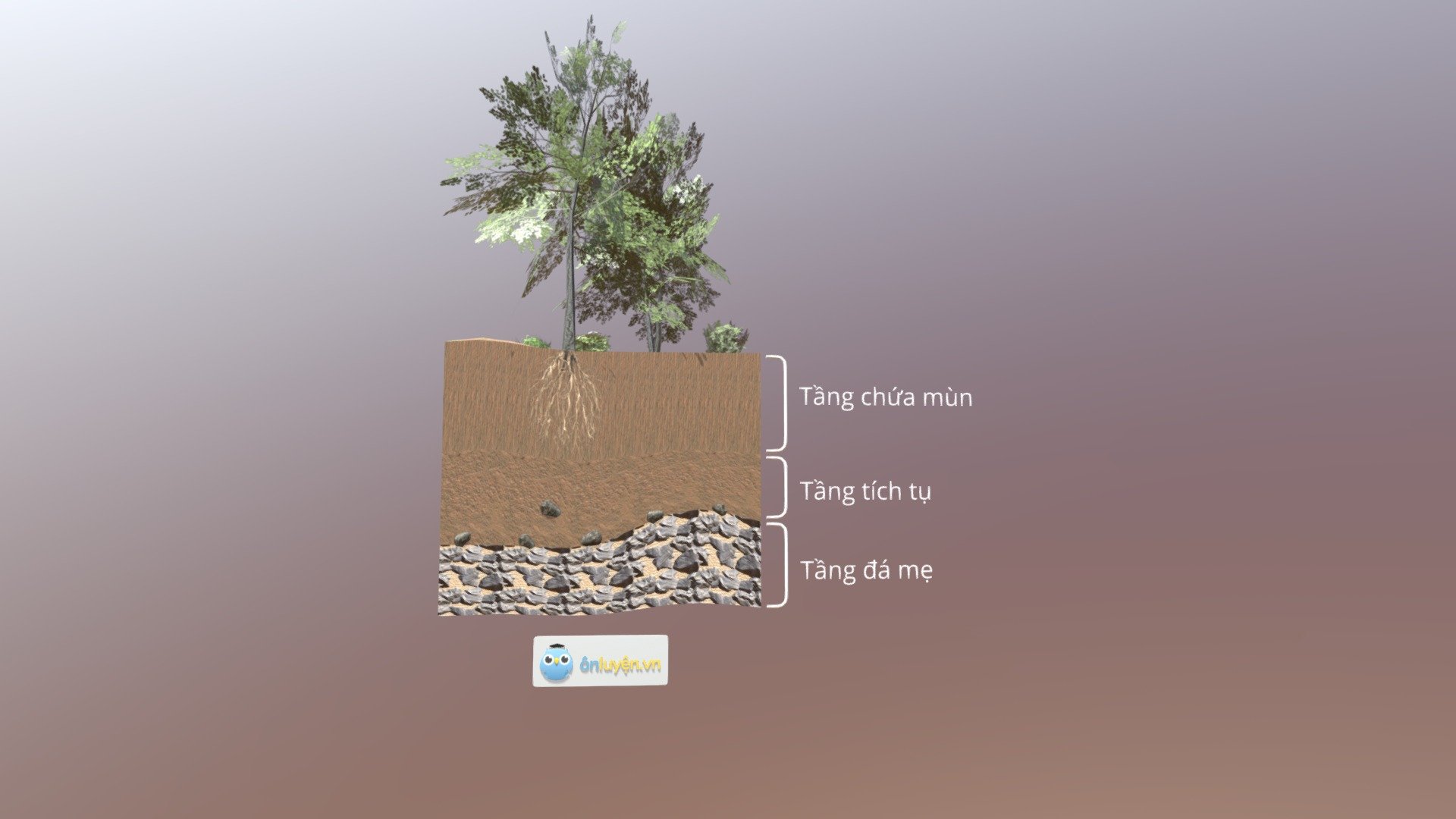 Cac tang dat - 3D model by EDMICRO EDUCATION COMPANY LIMITED ...