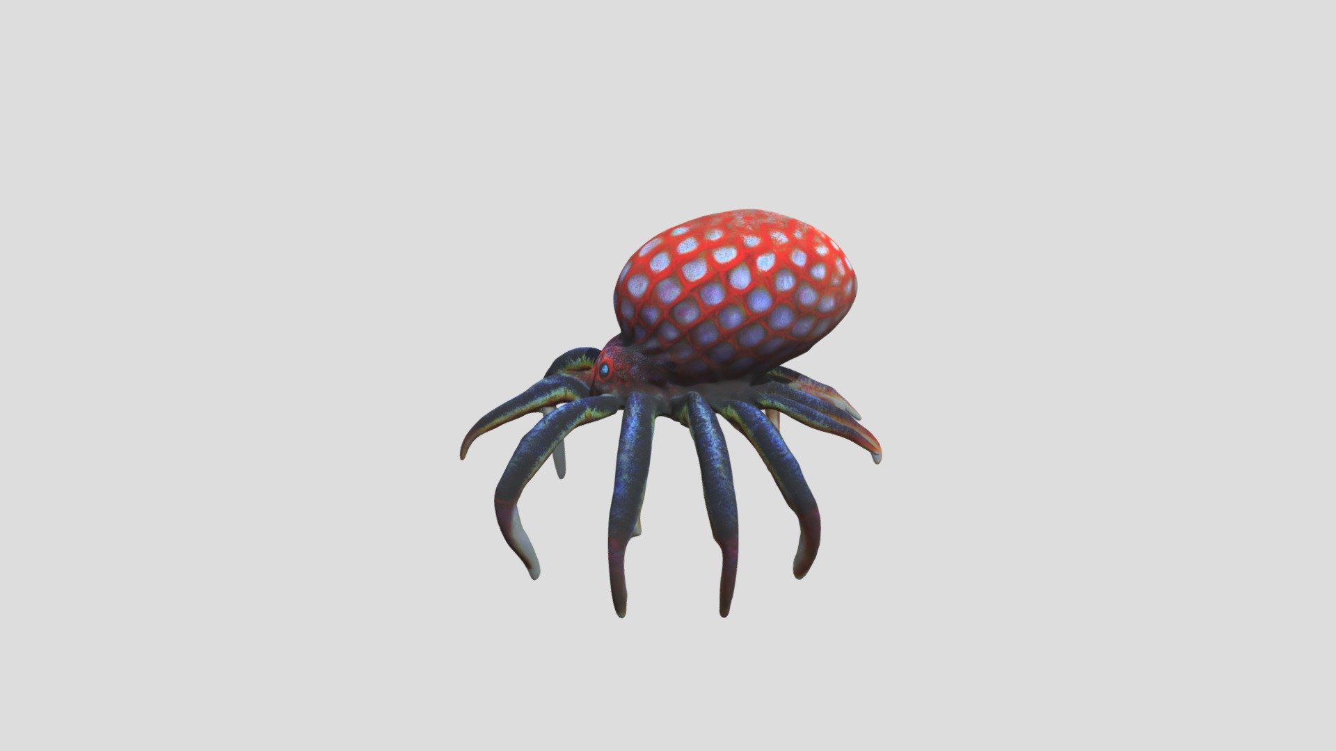Spider Octopus Detailed Realistic - 3D model by kaizouku321 [21b008a ...