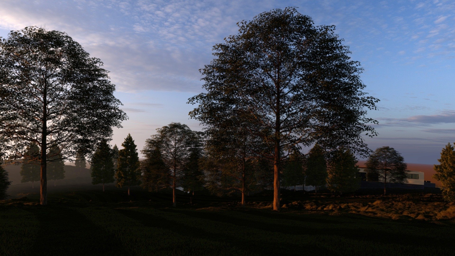 HDRI & SKY BOX 8K _ EARLY MORNING ON GRASSY HILL - Buy Royalty Free 3D ...
