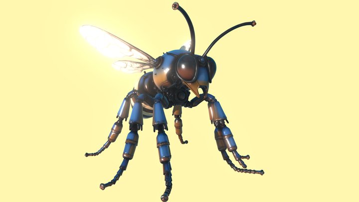 Wasp 3D models - Sketchfab