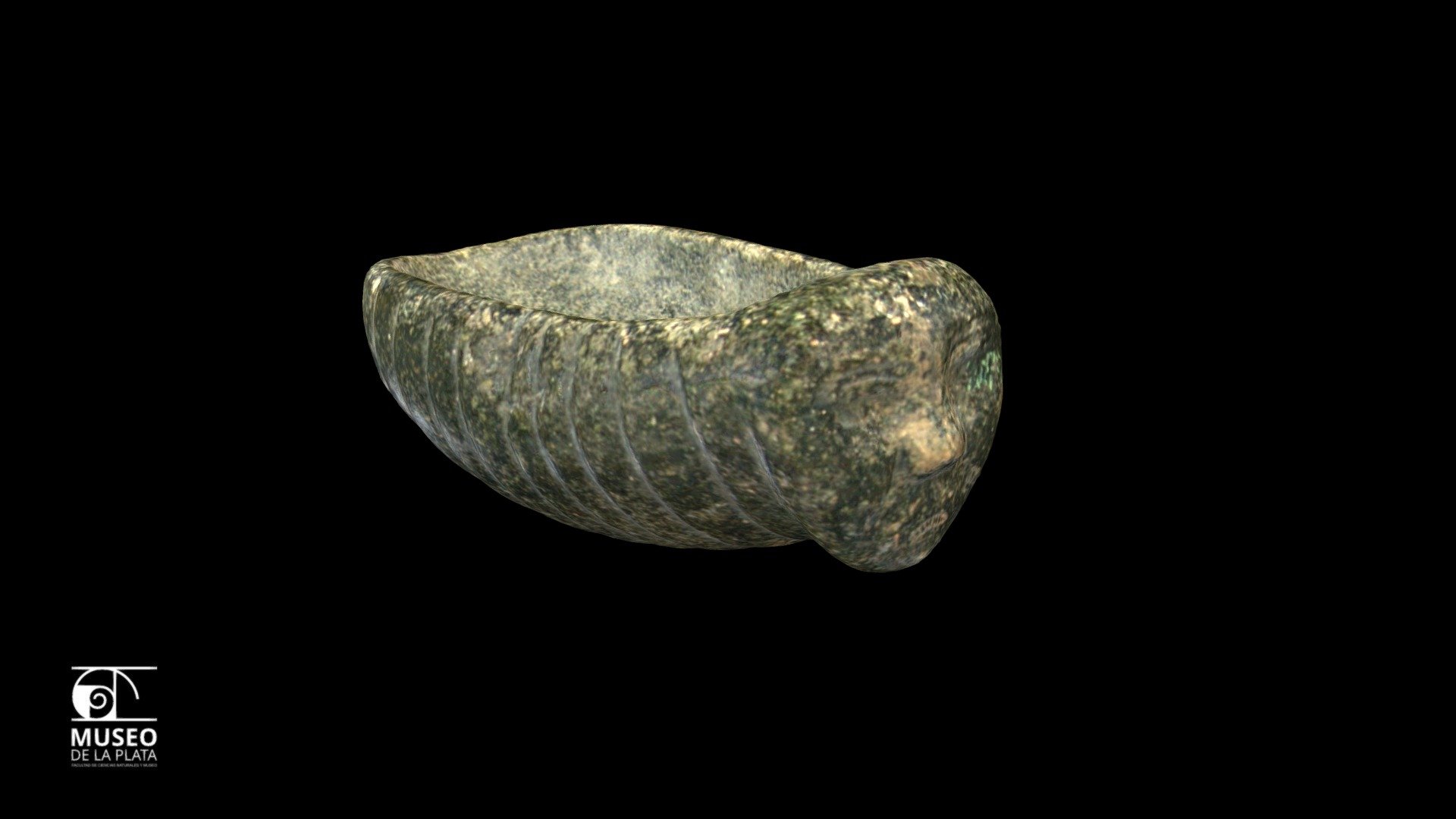 MLP-Ar-FPM-2072 - 3D model by Museo de La Plata, Argentina (@museolp ...