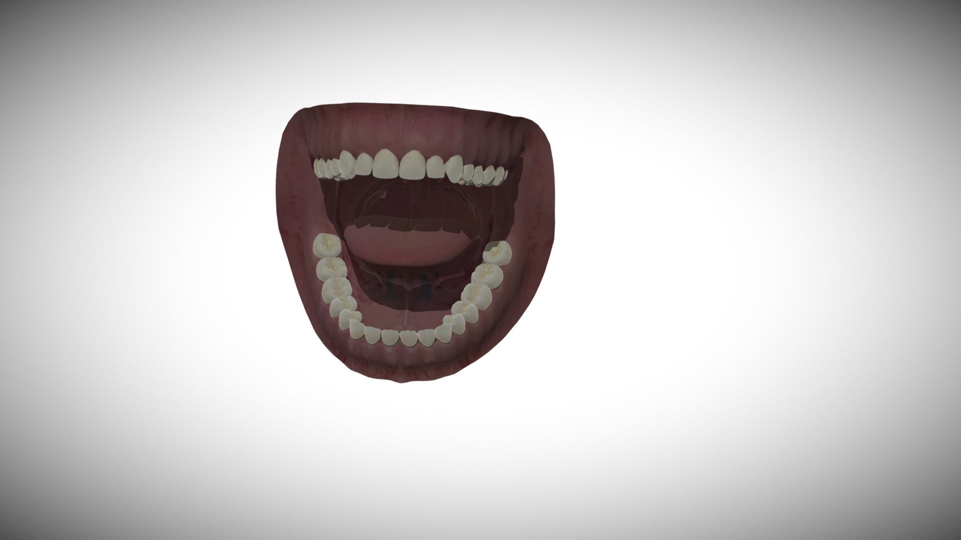 tooth - 3D model by yalman (@yalmanpourvatan) [21c9a92] - Sketchfab