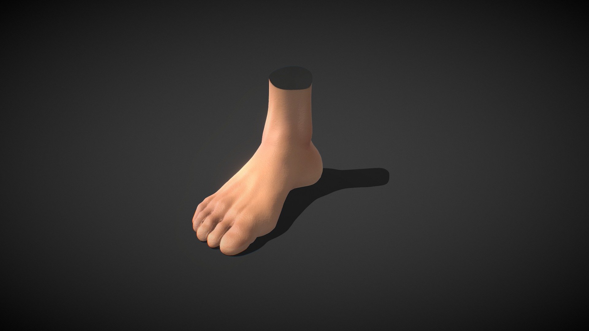 Fit Male Anatomy - Foot base mesh - Buy Royalty Free 3D model by ...