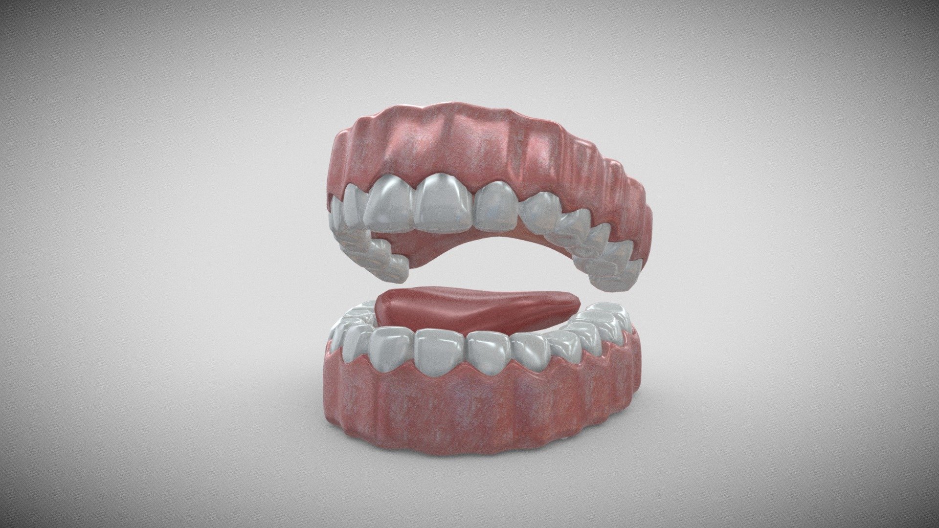 Realistic Mouth teeth 3D model - 3D model by nvere [21ce069] - Sketchfab