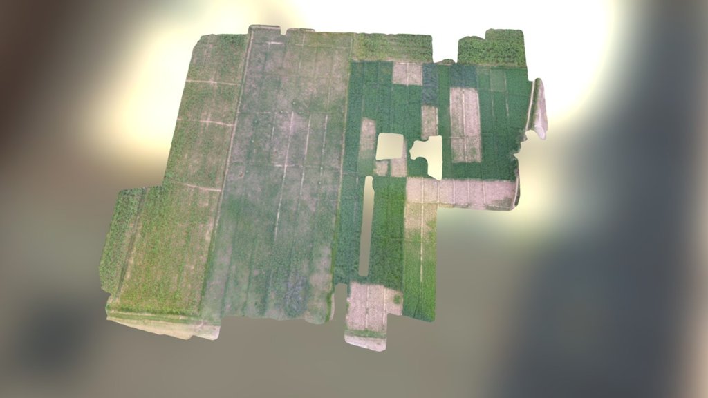 Crops - 3D model by farnez9 [21cec93] - Sketchfab