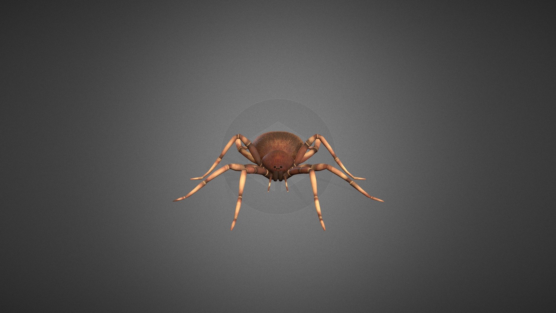 Spider - 3D model by Armendariz22 [21cf3eb] - Sketchfab