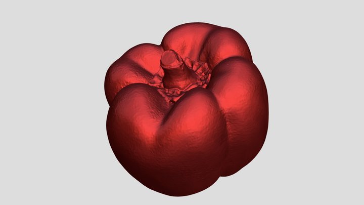 Chilli 3D models - Sketchfab