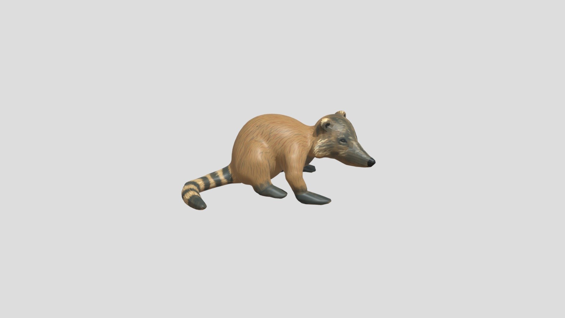 Cusumbo - Download Free 3D model by zumbambicoilustrado [21e5704 ...