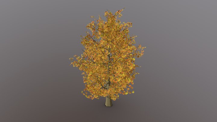 Speedtree 3D models - Sketchfab