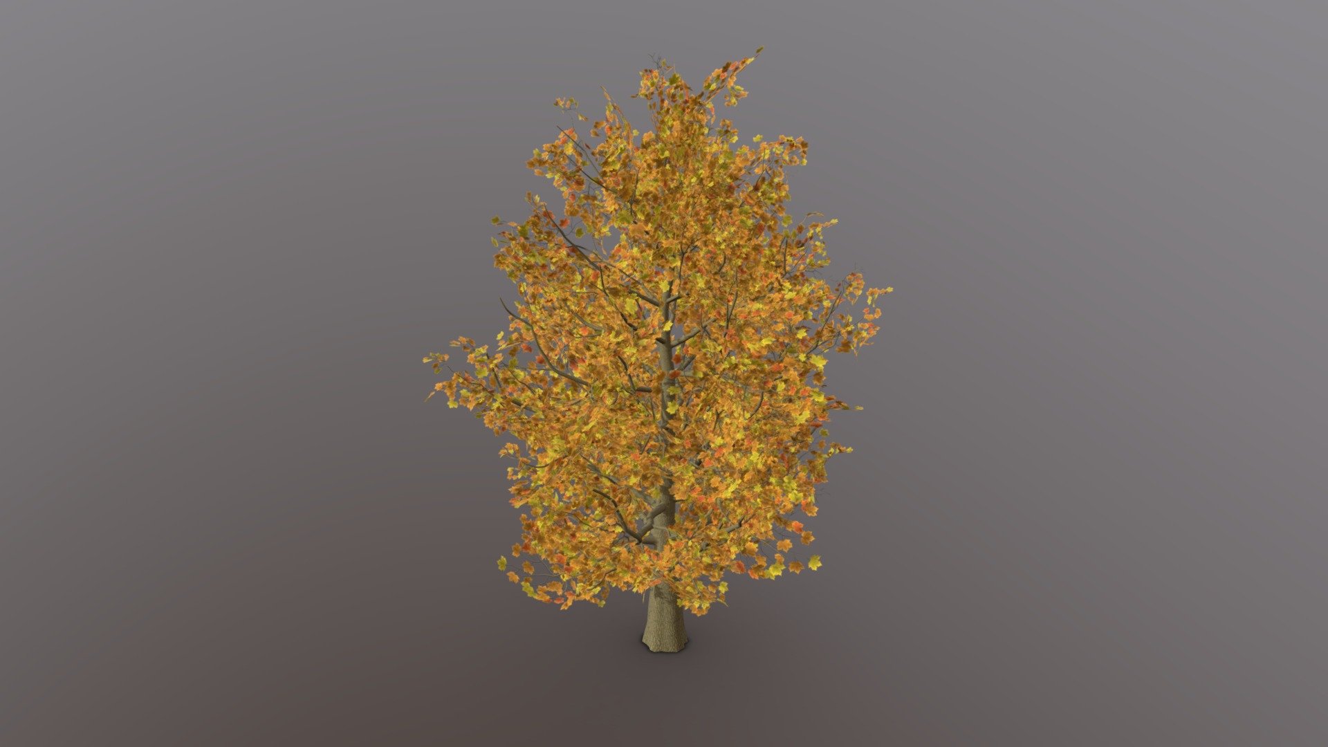 Mapple tree - Download Free 3D model by Mr.Hands (@xending) [21ec99c ...