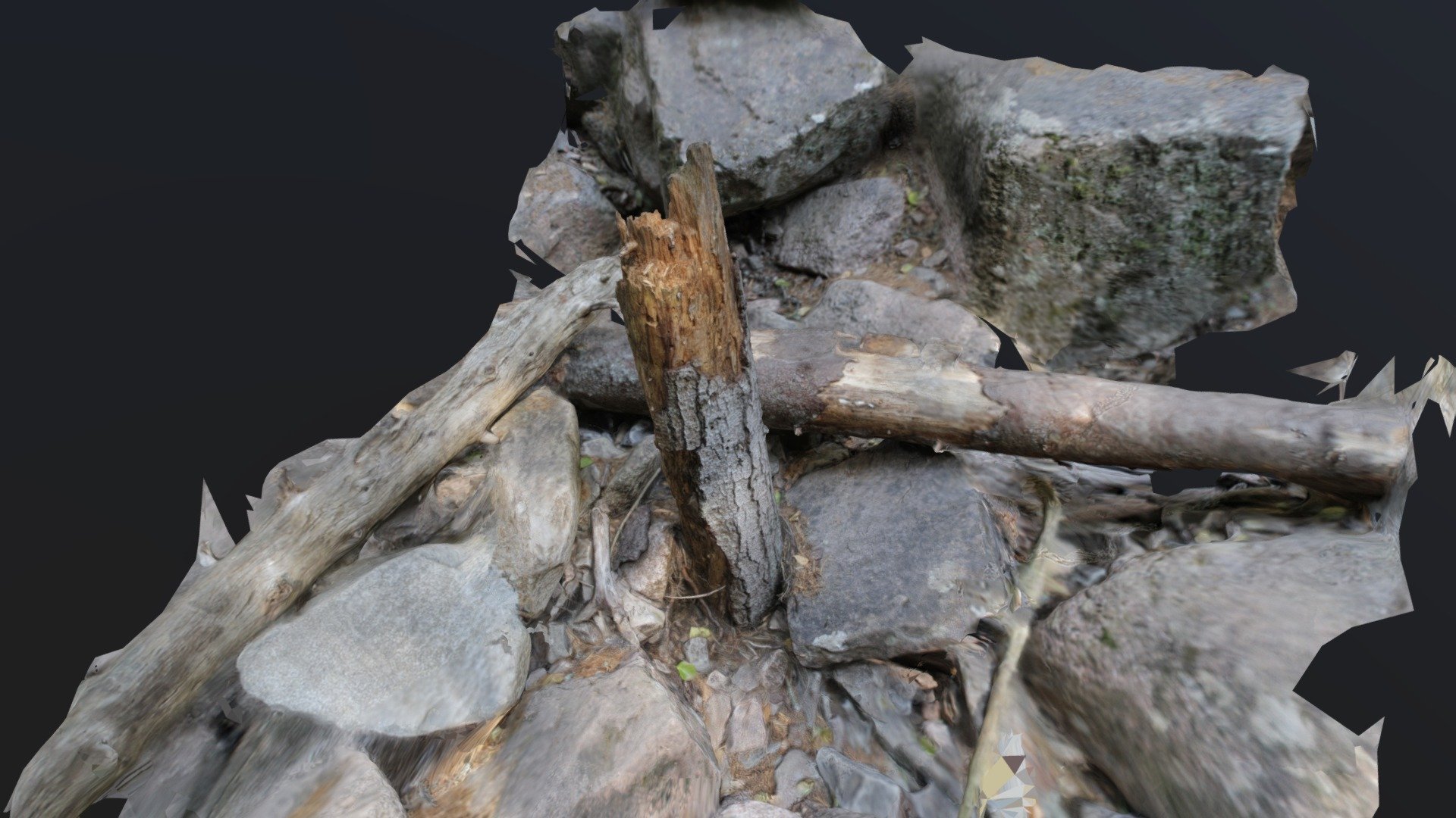 Broken Tree - 3D model by olahaldor [21eddab] - Sketchfab