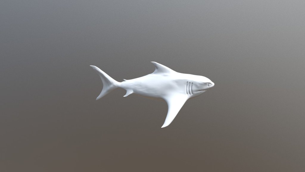 shark - 3D model by PedroLemos [21f3342] - Sketchfab