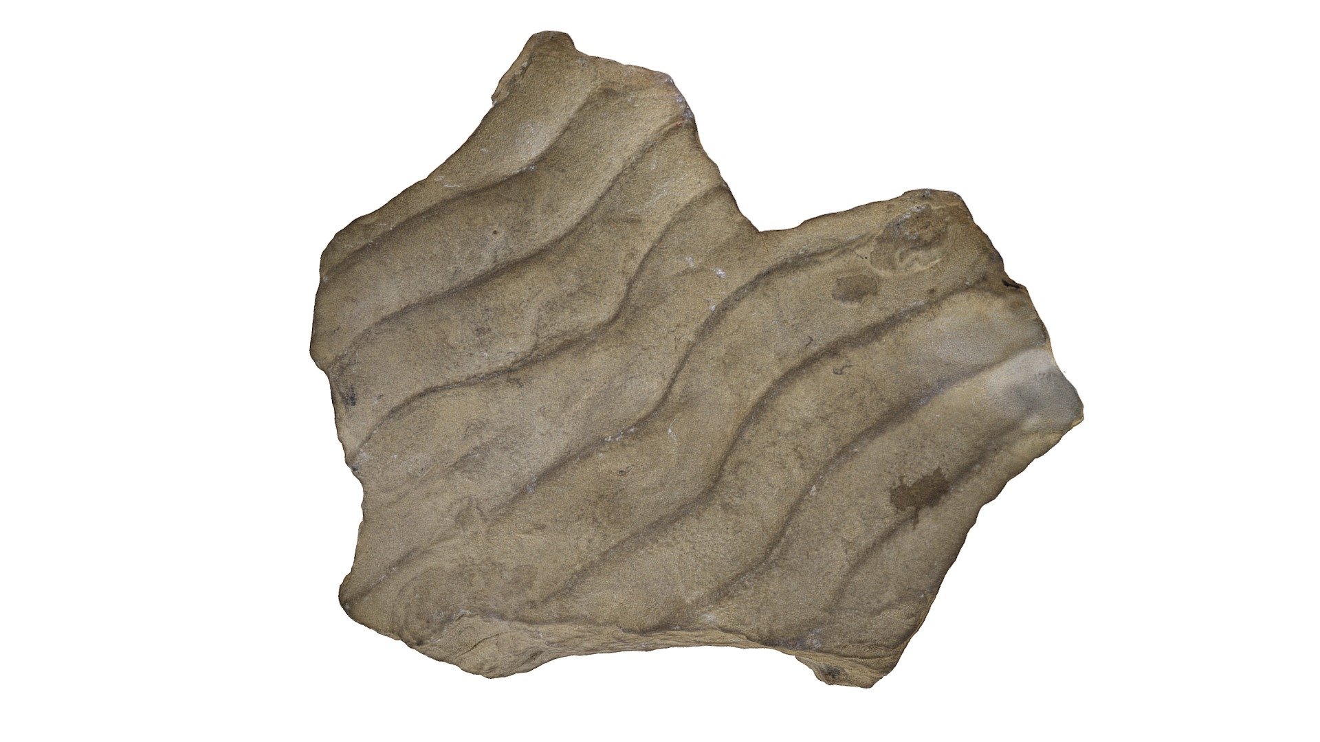 Sandstone with Ripple Marks - Download Free 3D model by ...