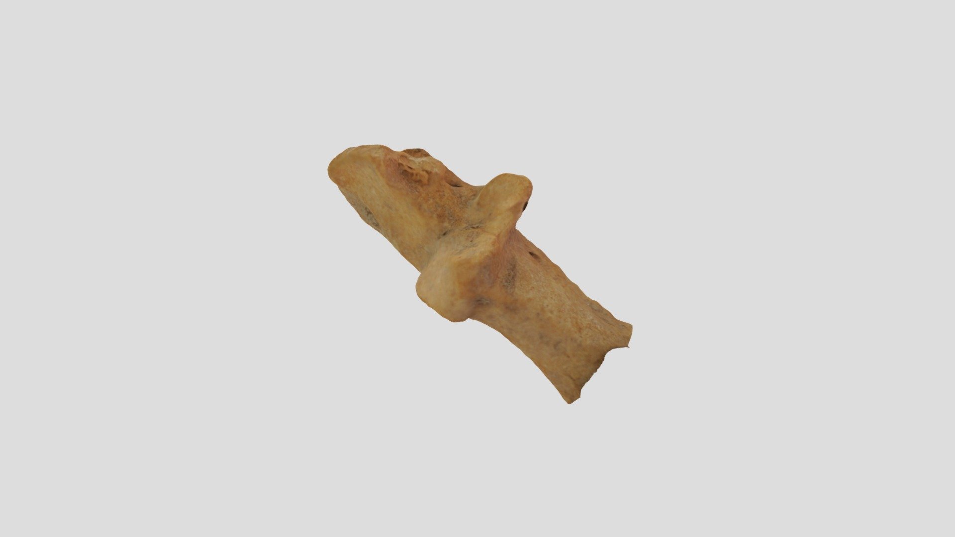 Guildford Castle Rabbit - 3D model by cameen7 [21f70c2] - Sketchfab