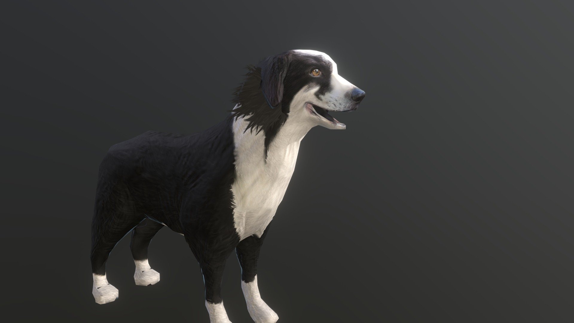 Low Poly Collie 3D model (unrigged) - Download Free 3D model by ...