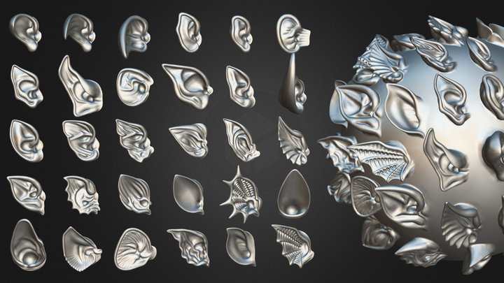 Ear 3D models - Sketchfab