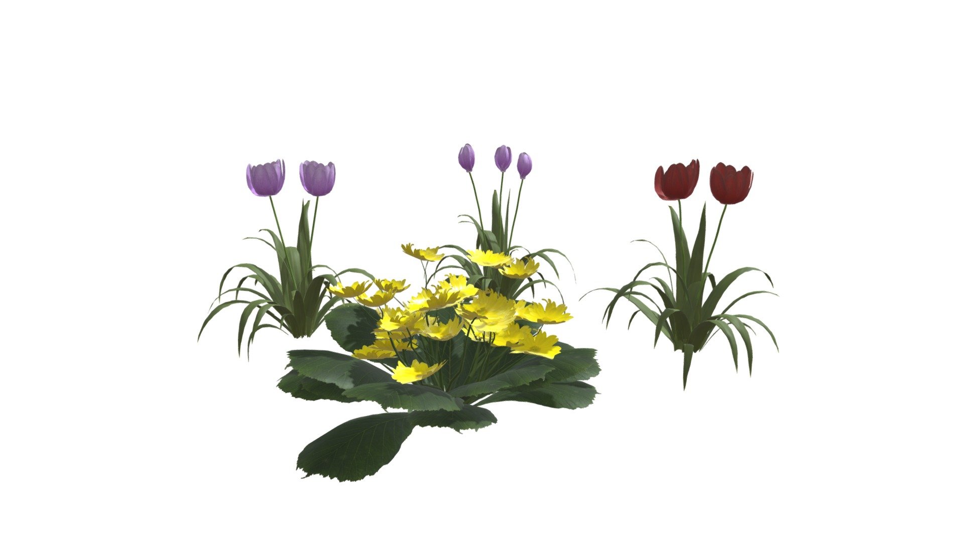 Spring Delight: Primroses & Tulips 3D Flowers - Buy Royalty Free 3D ...