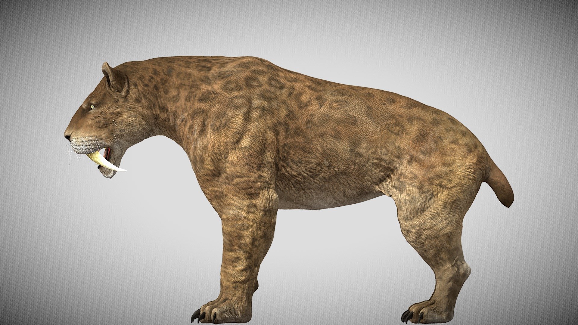 Smilodon - Download Free 3D model by AllThingsSaurus [2201006] - Sketchfab