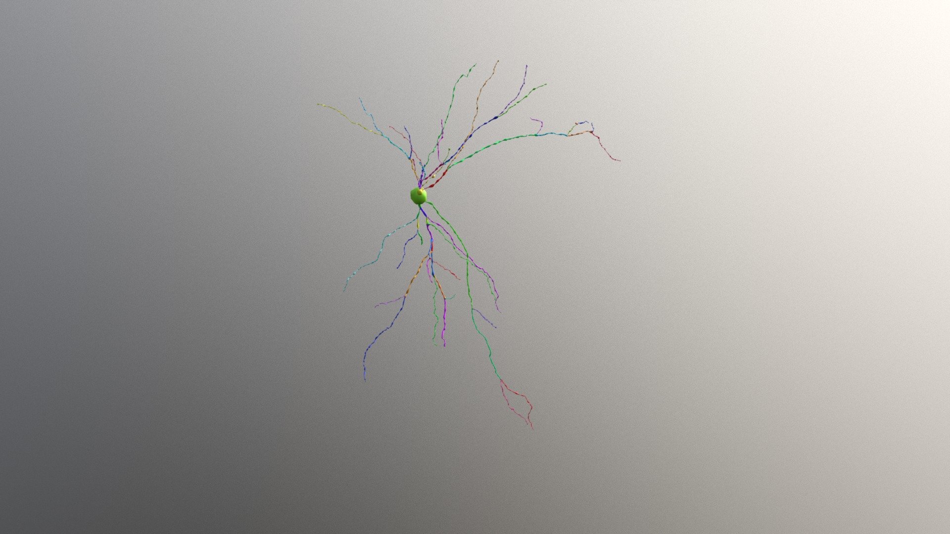 Neurona - Download Free 3D model by anaperezsarasqueta [2202692 ...