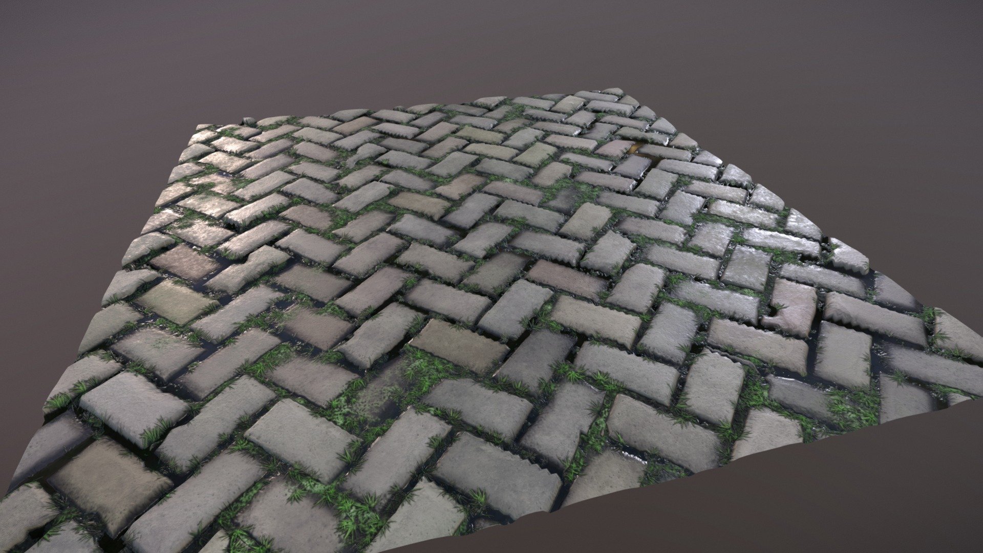Wet Floor FREE MATERIAL TEXTURE - Download Free 3D model by nixflix ...