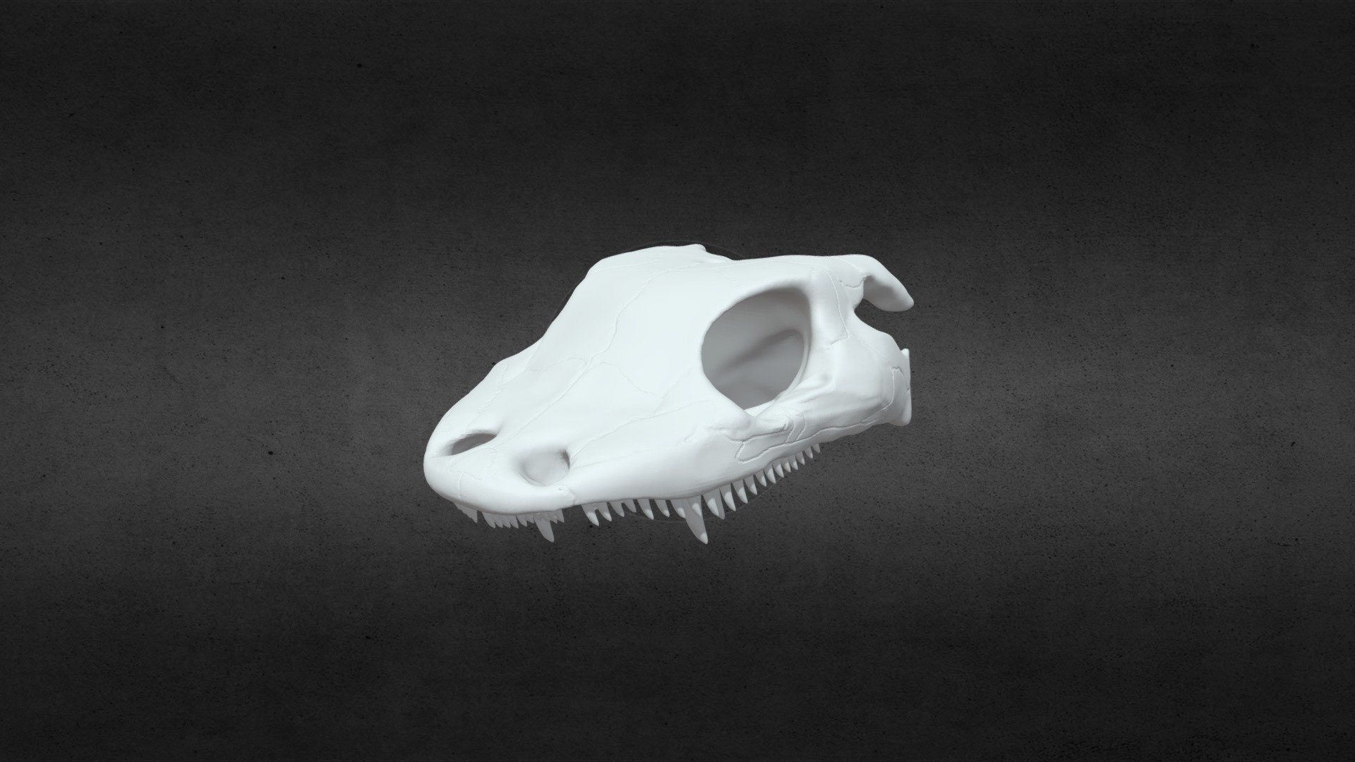 Cacops Sketchfab Model - 3D model by PaleoZardoz [2204e88] - Sketchfab
