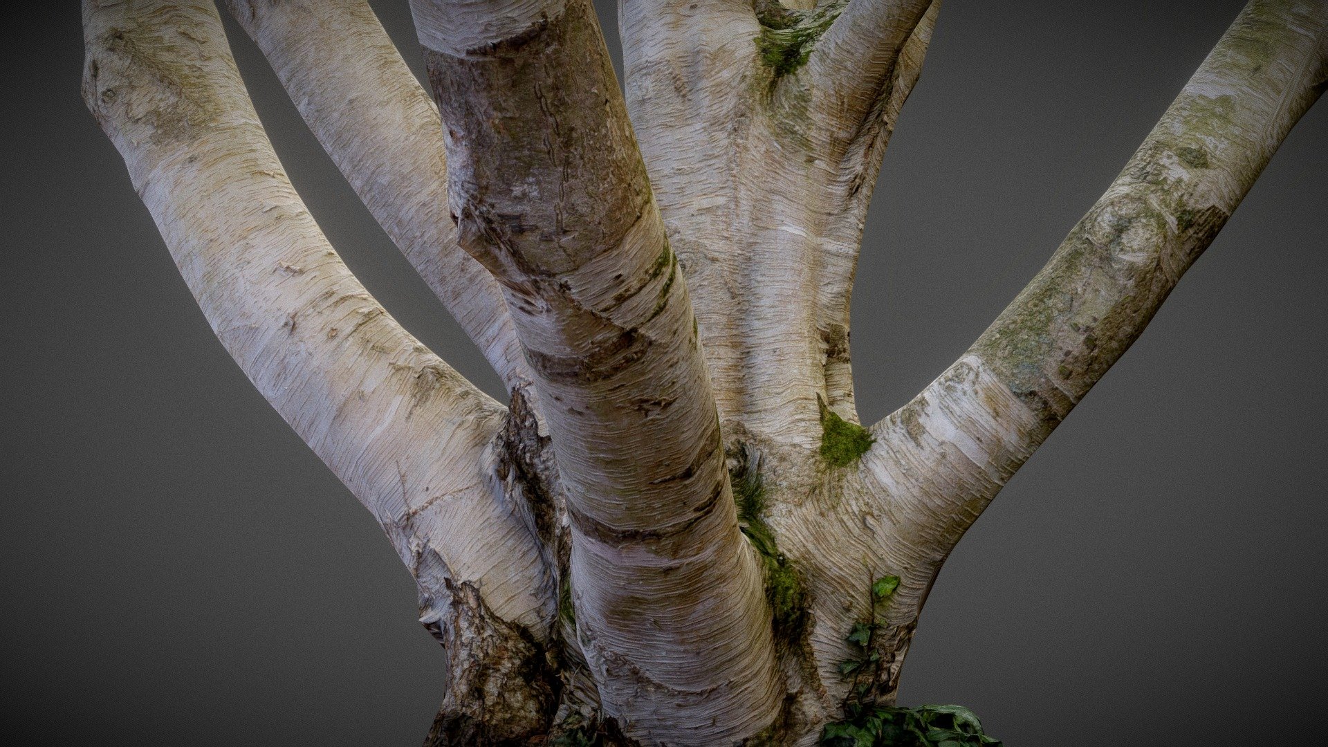 Paper Tree - Buy Royalty Free 3D model by Polygonal Miniatures ...