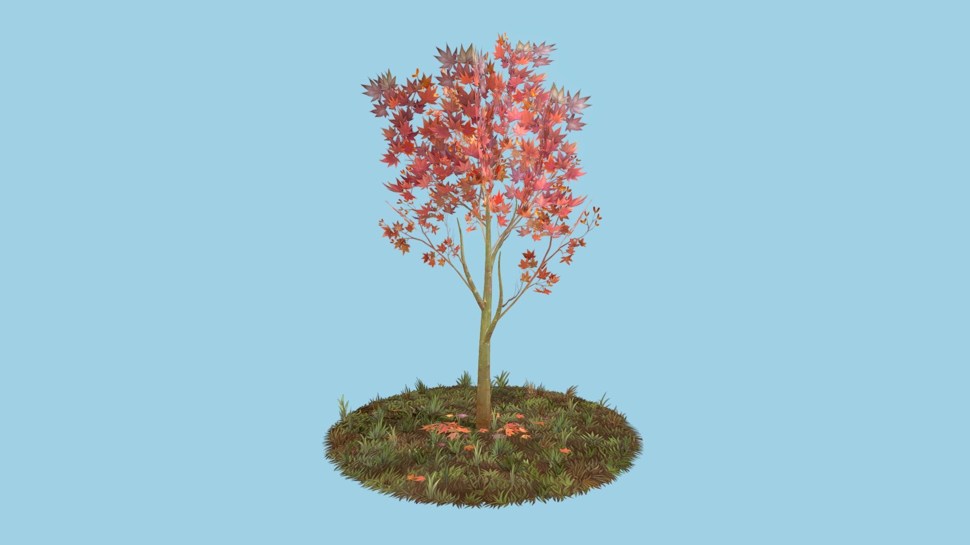 Red Maple Tree - 3D model by Alexandra Quinby (@amquinby) [220fd89 ...