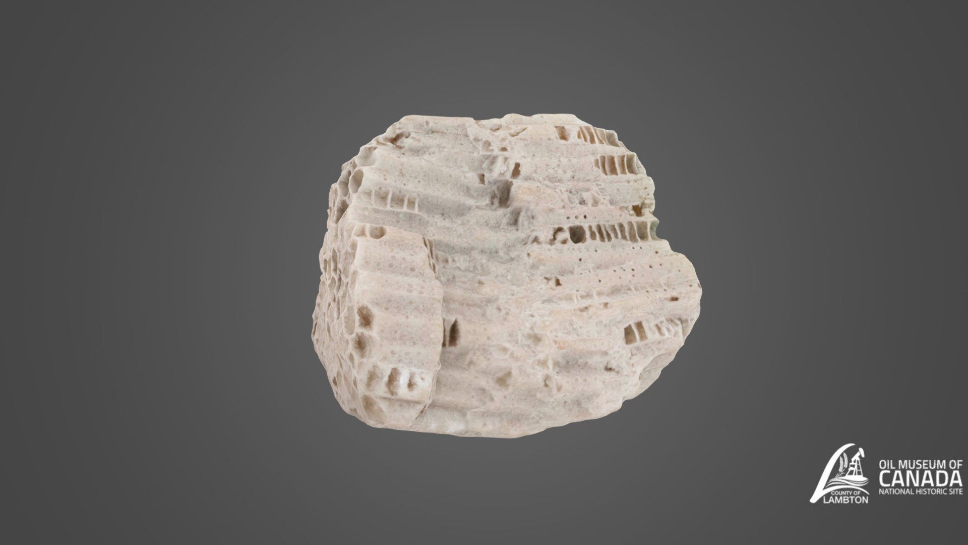 Tabulate Coral Mold Fossil - 3D model by Lambton County Museums ...