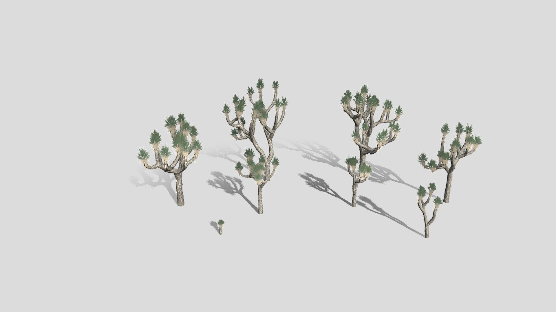 Joshua Trees - Download Free 3D model by evolveduk [2219281] - Sketchfab