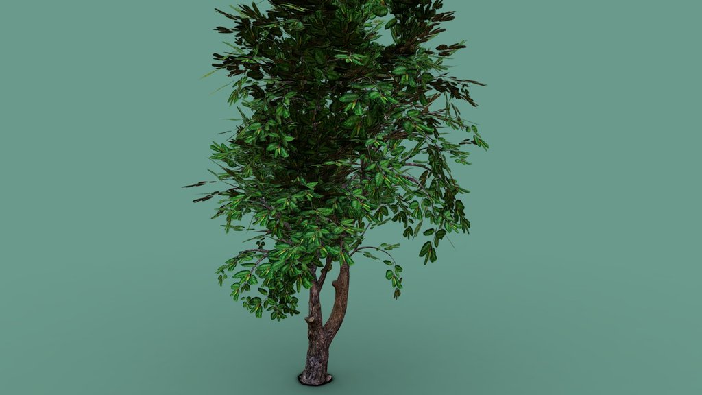 Trees - A 3D model collection by VladislavMac - Sketchfab
