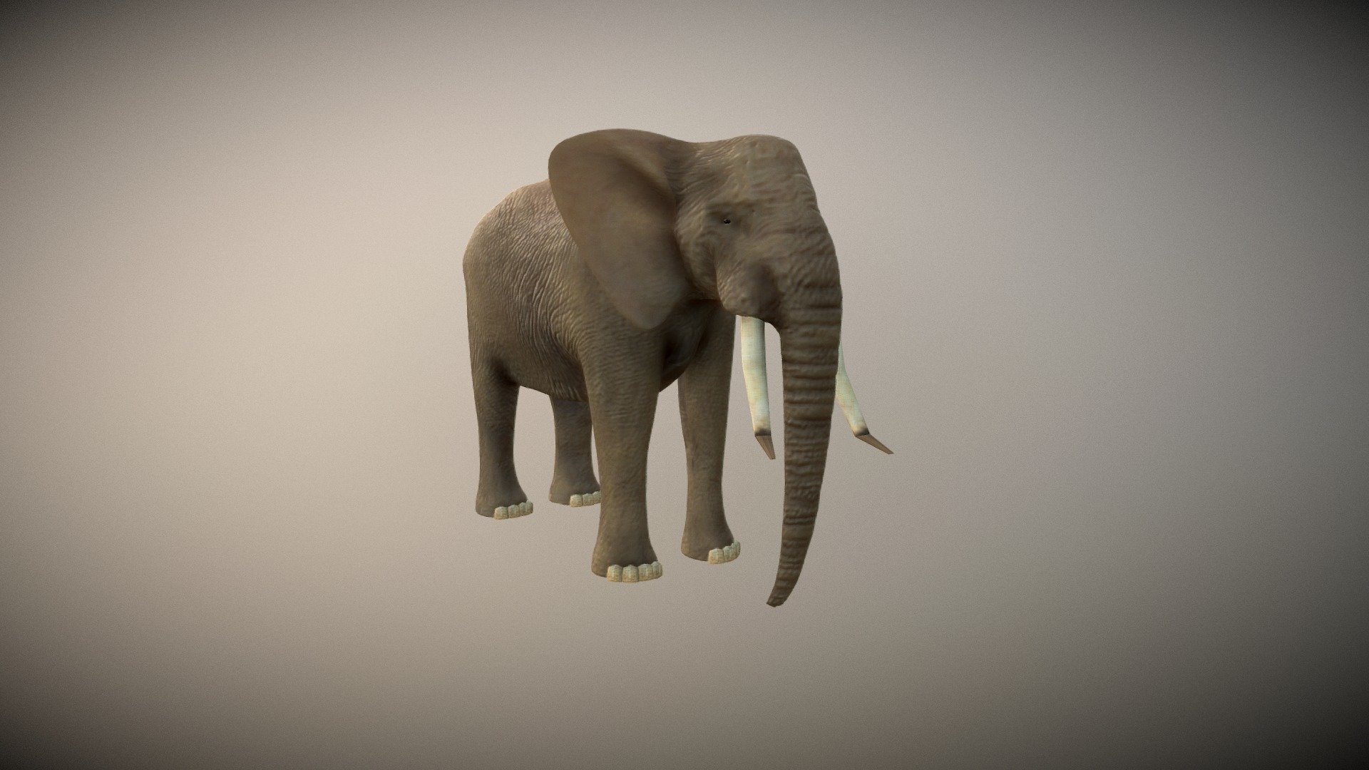 Elephant - 3D model by lewisschaefer [2221ac2] - Sketchfab