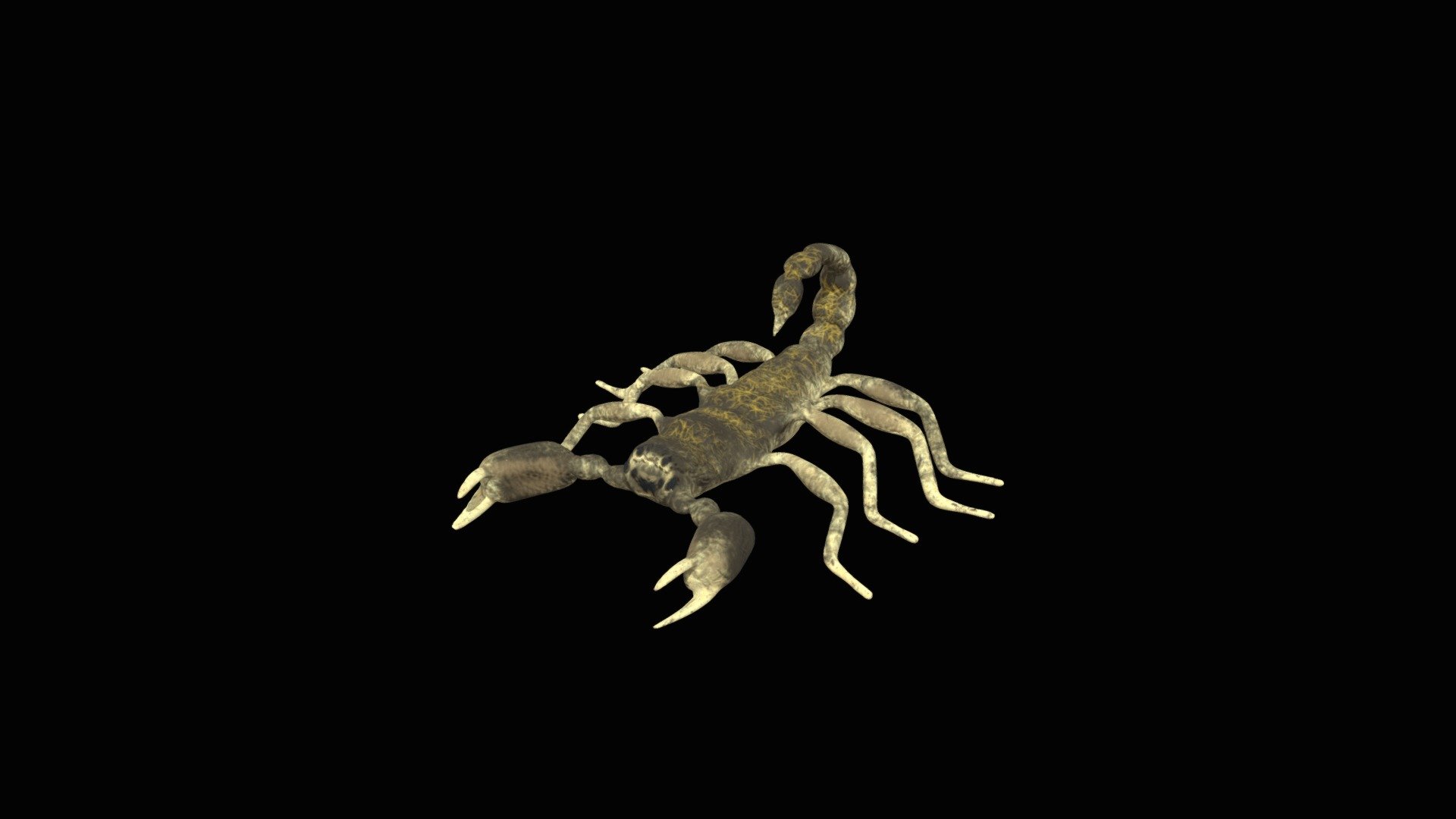 Free scorpion - Download Free 3D model by Filip (@filip.hans.nyberg ...