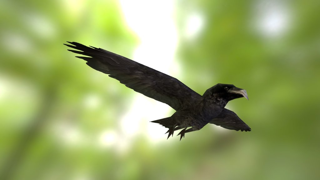Crow - 3D model by UnluckSoftware [2233090] - Sketchfab