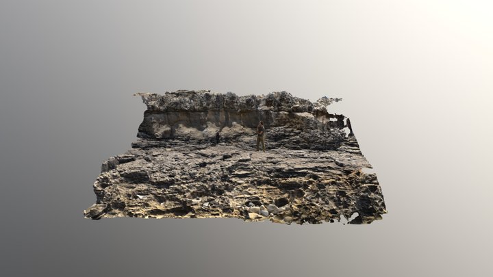 Sea-level 3D models - Sketchfab