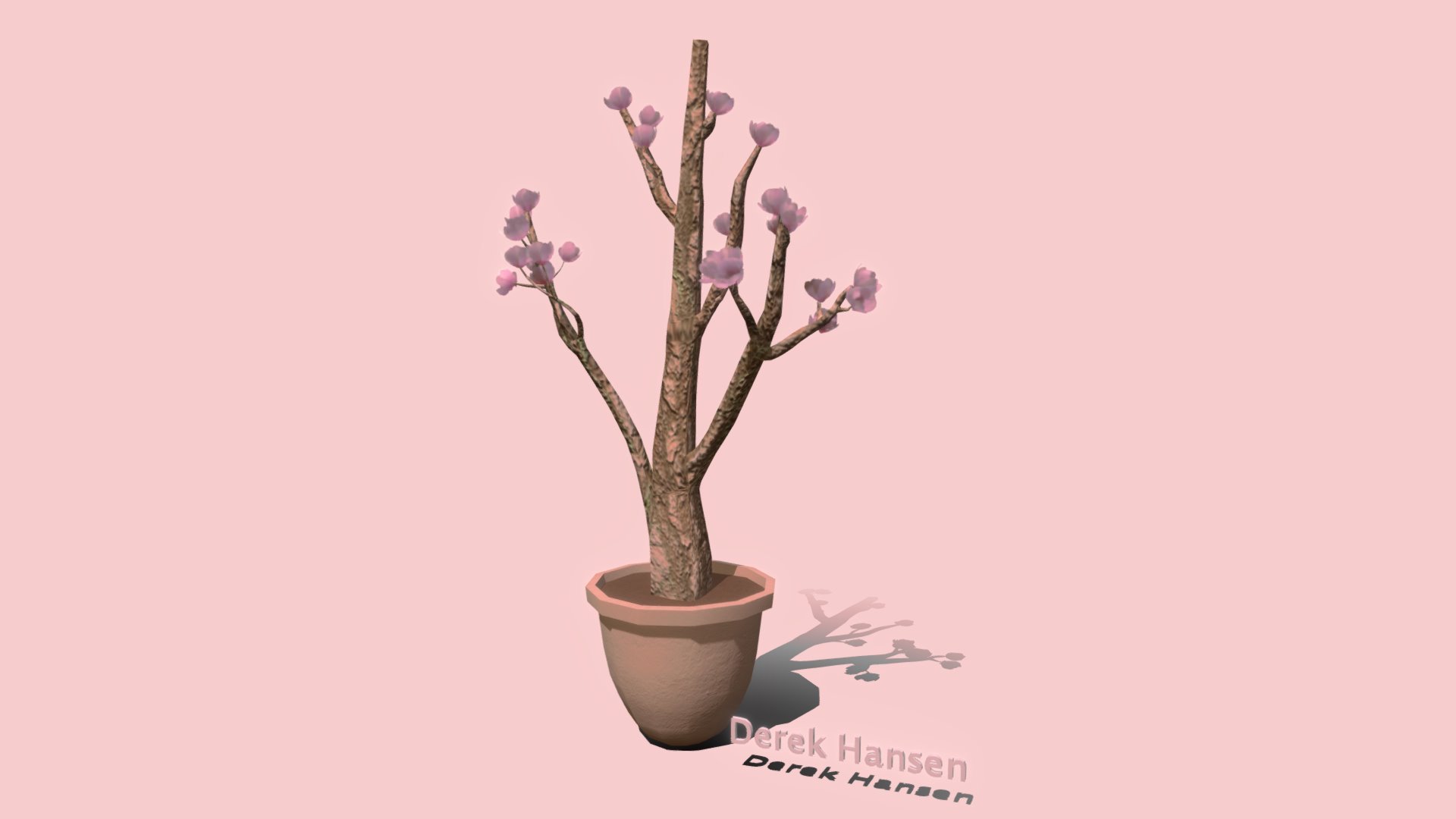 Magnolia Tree - Download Free 3D model by hanse141 [224398a] - Sketchfab