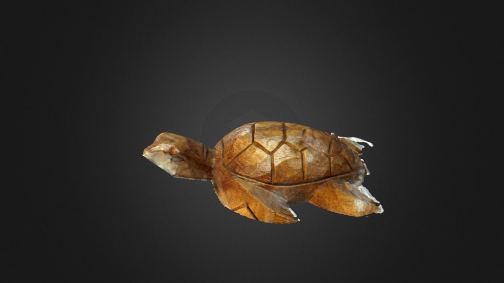 Turtle - 3D model by the_campbell [2245323] - Sketchfab