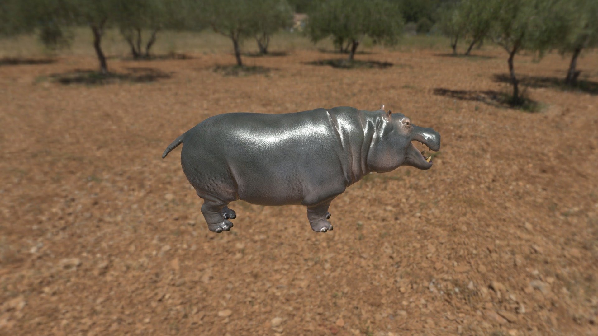 Hippo - 3D model by wetpwnage [2248189] - Sketchfab