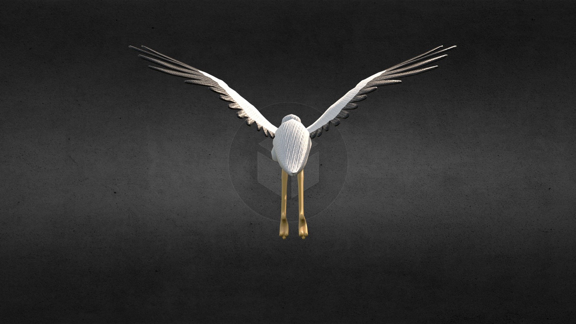 stork - Download Free 3D model by chernyi.r [224ec84] - Sketchfab