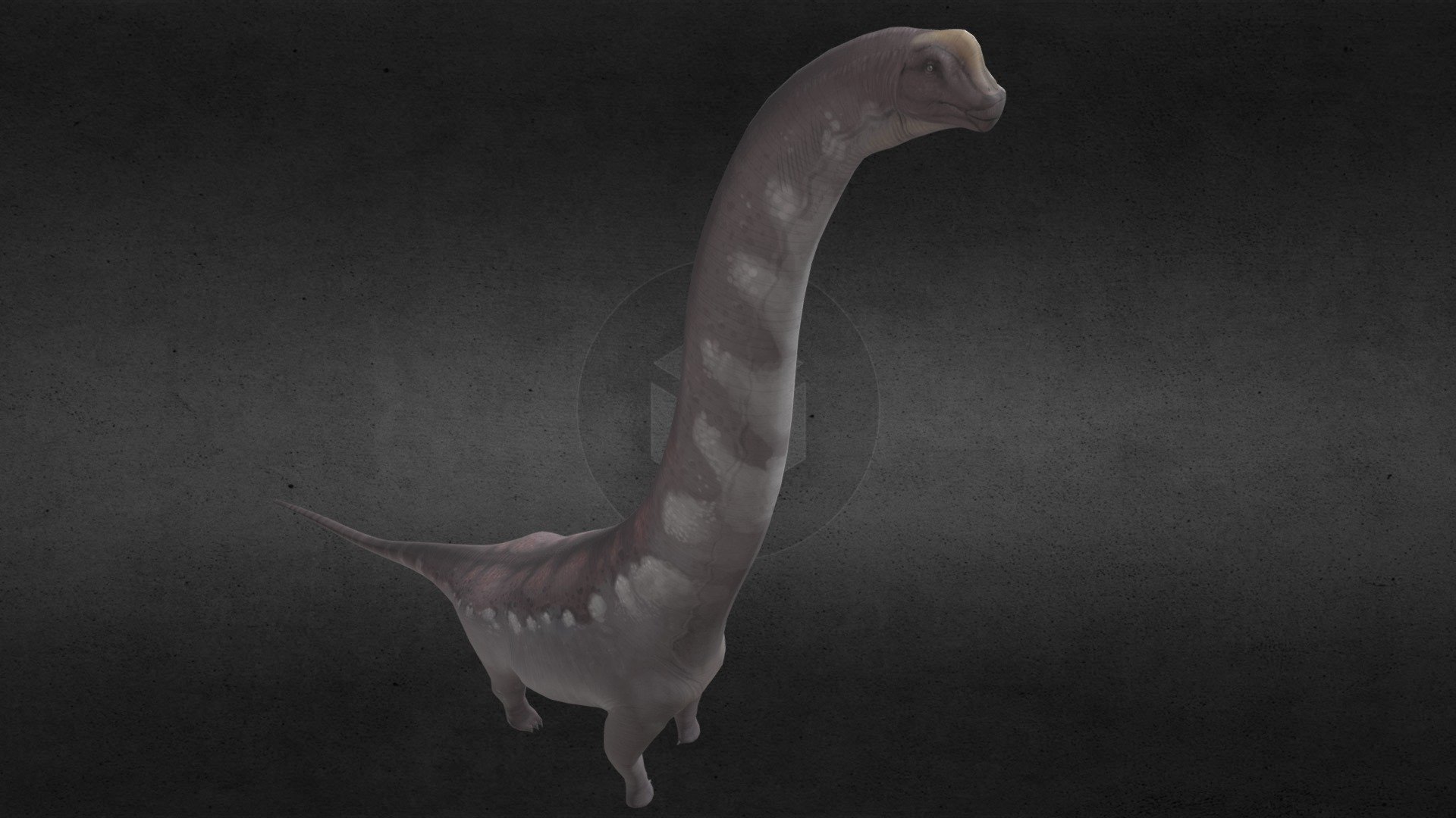 Brachiosaurus Altithorax - Download Free 3D model by paleo.parallax ...