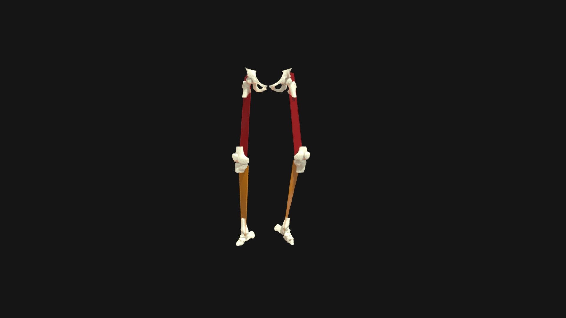 Lower Extremity Torsion - 3D model by Lincoln Wong (@lincolnwong ...