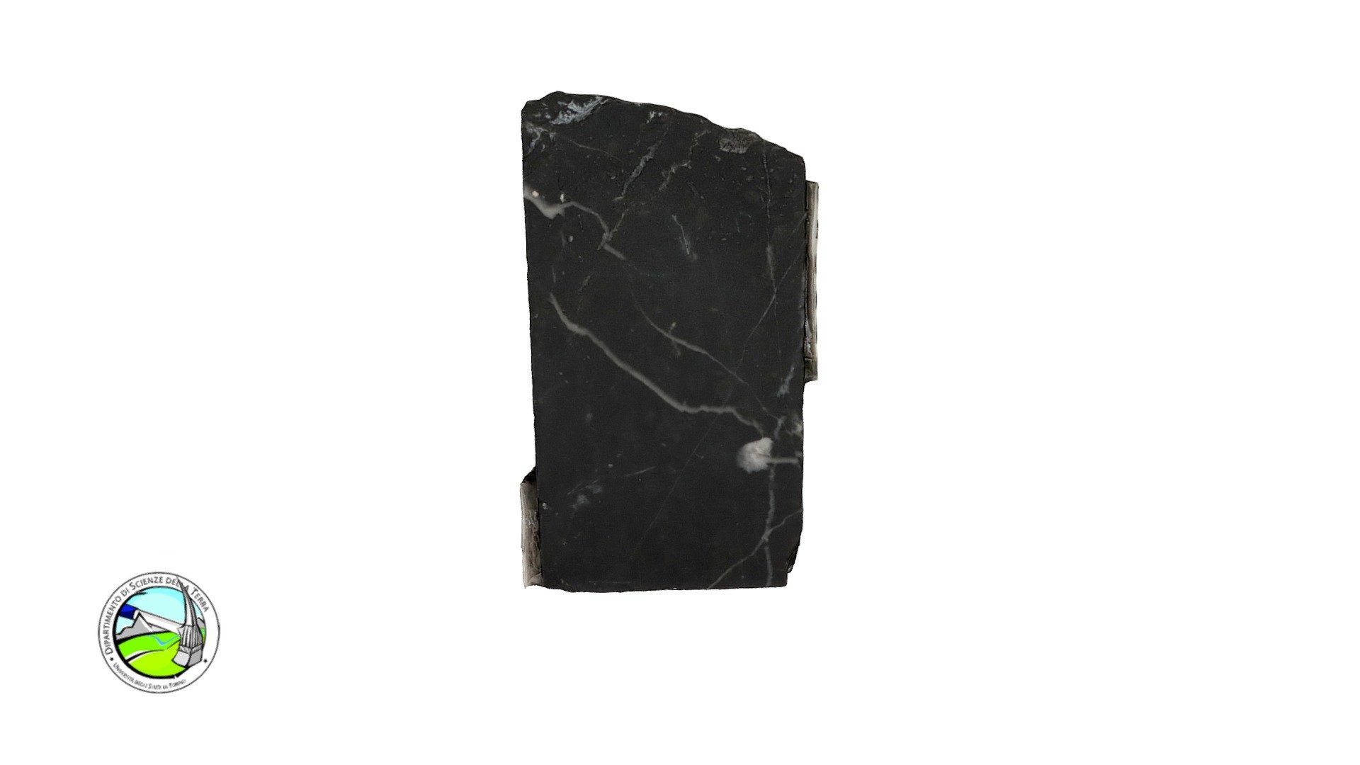 SN24 - Floatstone a bioclasti - 3D model by Dipartimento di Scienze ...