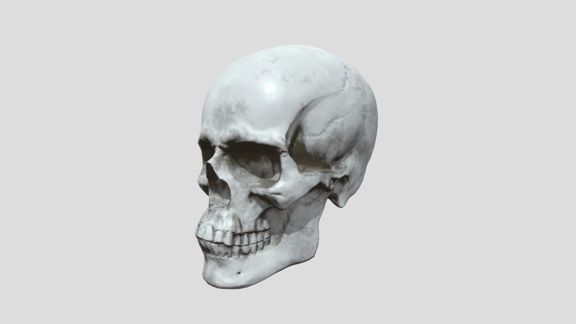 Skull_Low - Download Free 3D model by jiang_kang1881 [2255b25] - Sketchfab