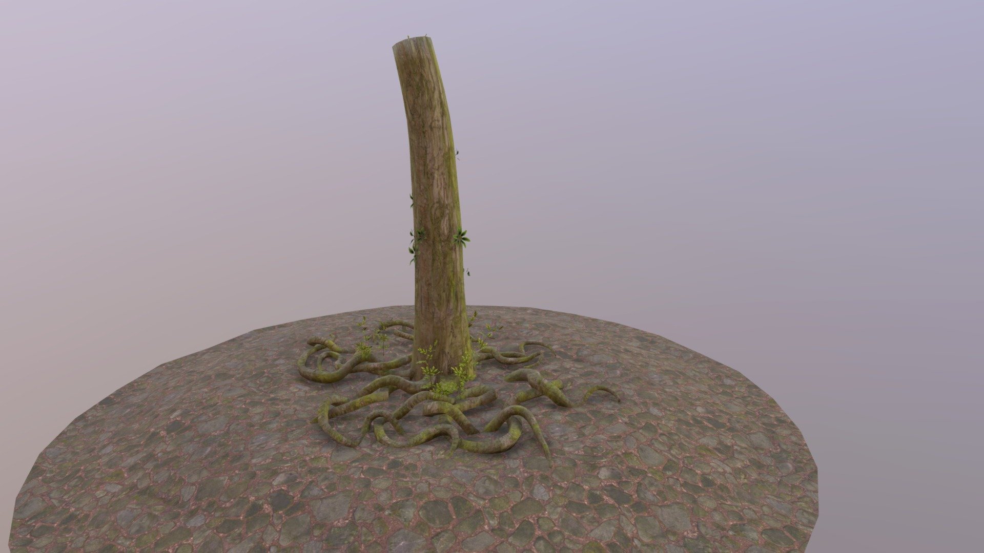 Roots test for Sketchfab viewer - 3D model by Cristian Baßler ...