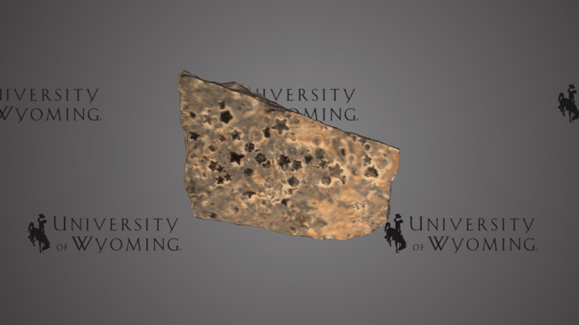 UWG Stars - Download Free 3D model by University of Wyoming Libraries ...