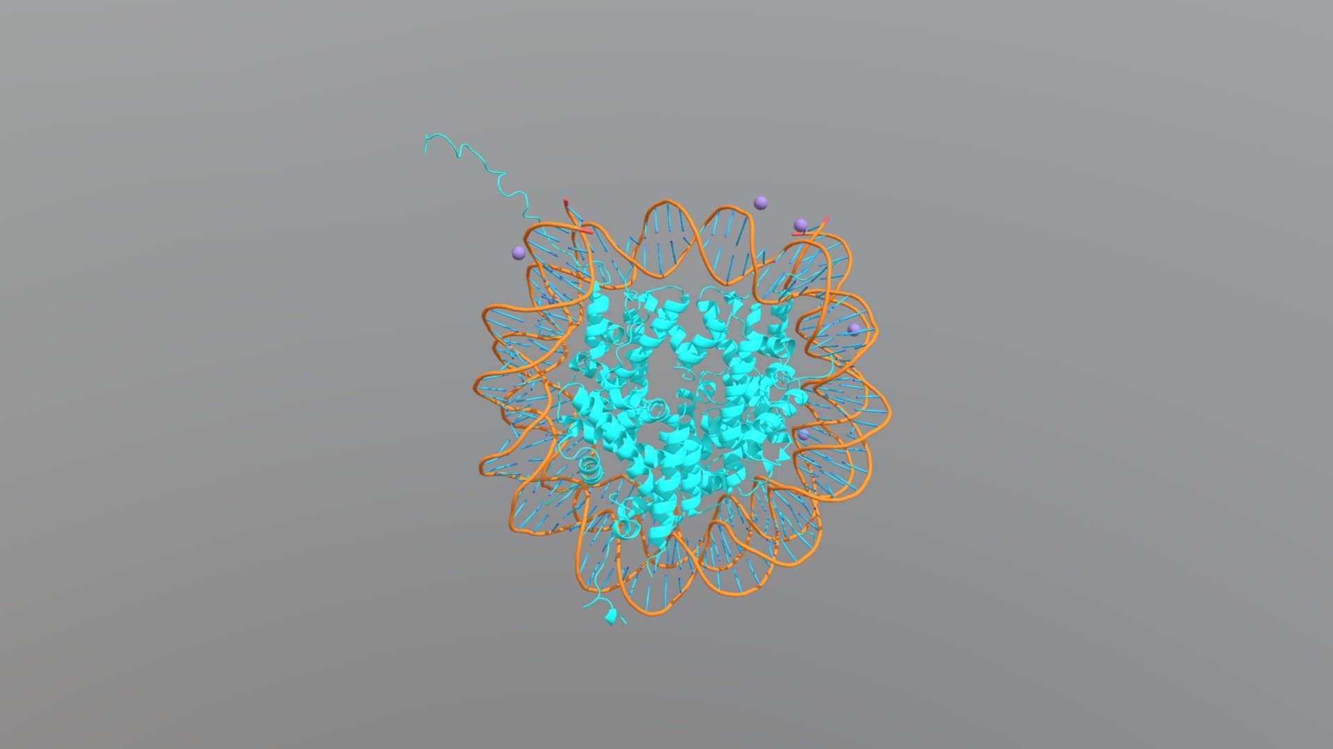 Nucleosome - 3D model by GarethDenyer [227caef] - Sketchfab