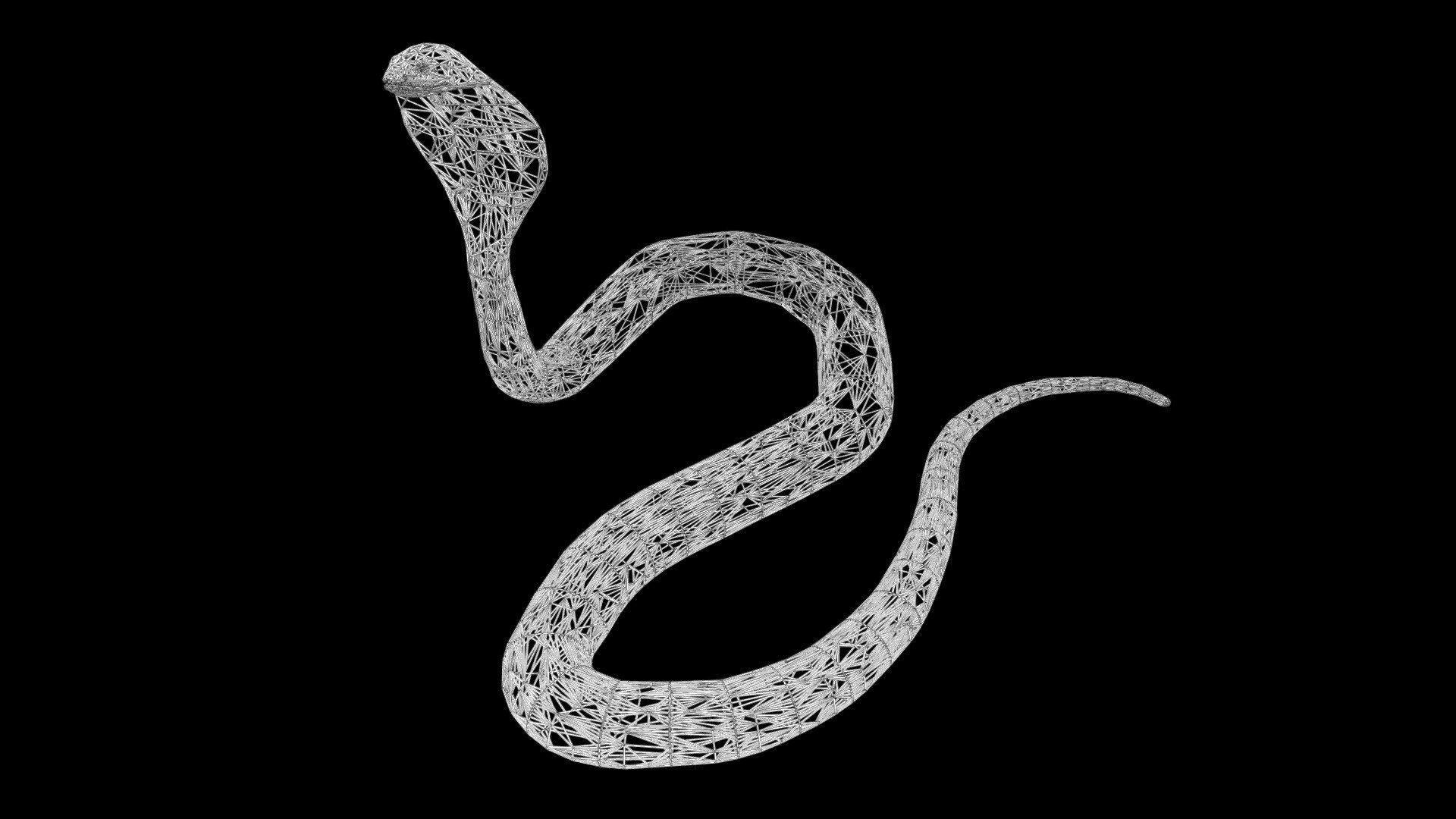 SNAKE WIREFRAME - Buy Royalty Free 3D model by DTA DESIGN STUDIO ...