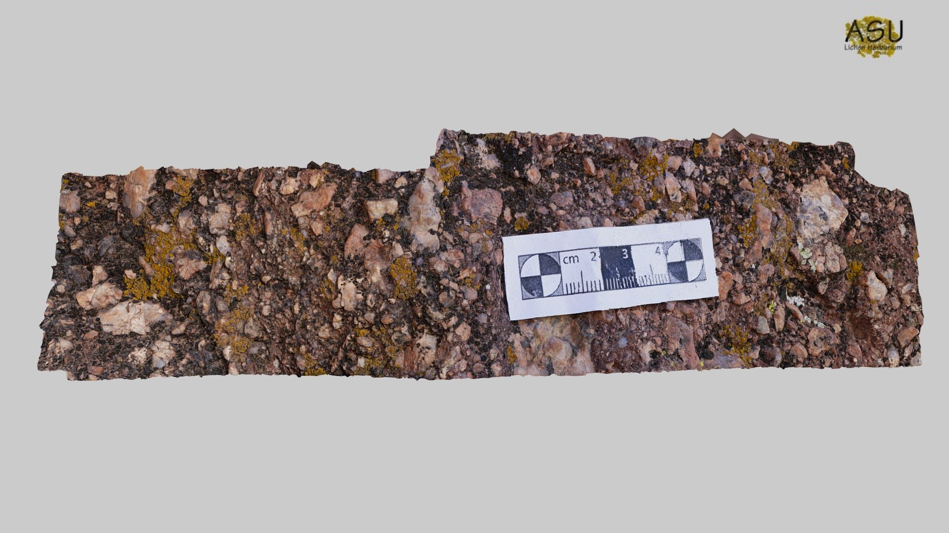 Lichens at Papago-Park (2021-04-30) - Download Free 3D model by Arizona ...