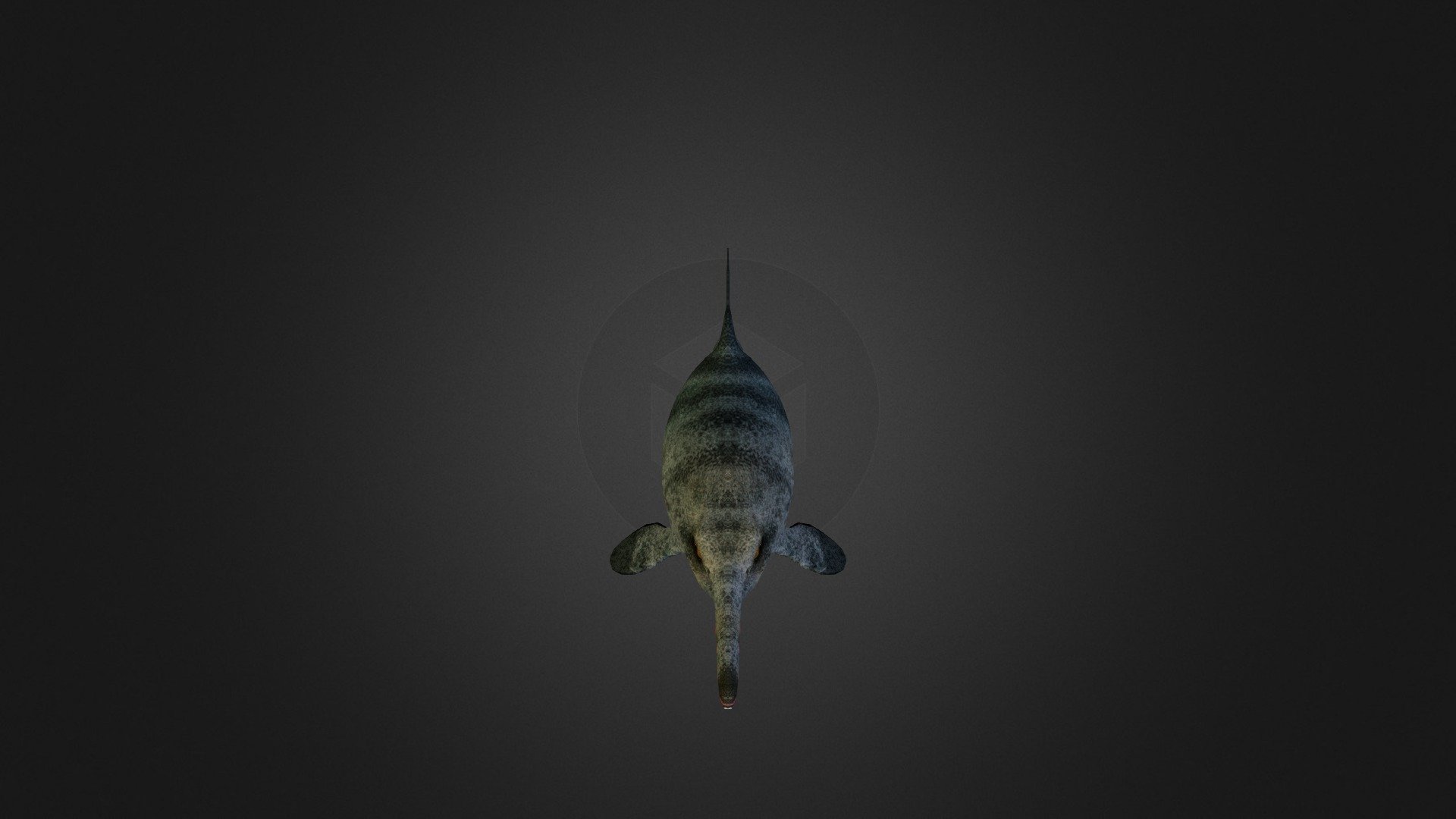 Aegirosaurus by MrGorsh - 3D model by MrGorsh [228c2ee] - Sketchfab