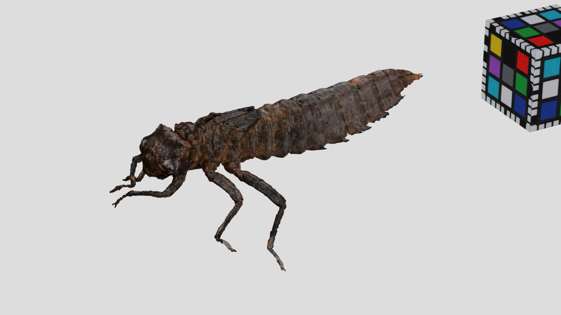 CC0 コシボソヤンマ Spotted Darner, Boyeria maclachlani - Download Free 3D ...